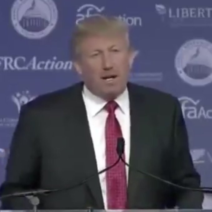 Potter Becomes Bizarre Star of Viral Meme Craze - West Ham News